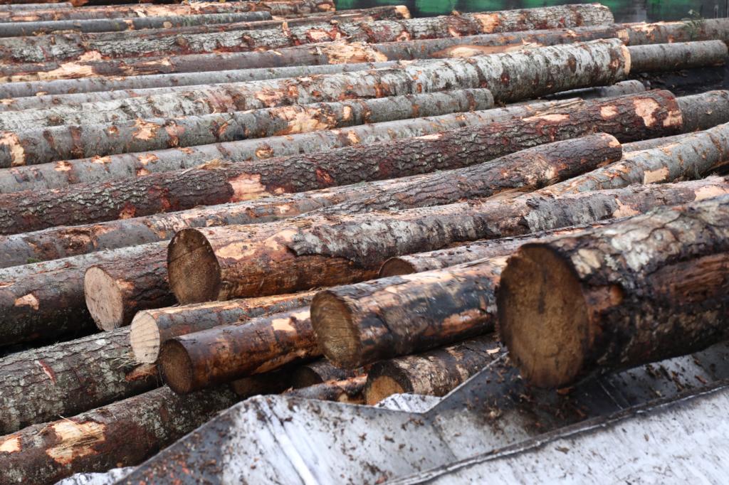 James E Risch, U.S. Senator for Idaho